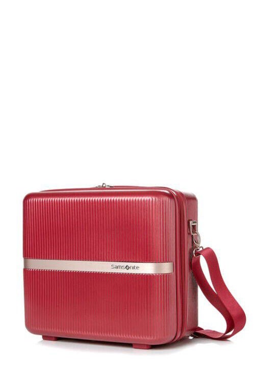 Samsonite Minter Spinner 69/25 Exp-in